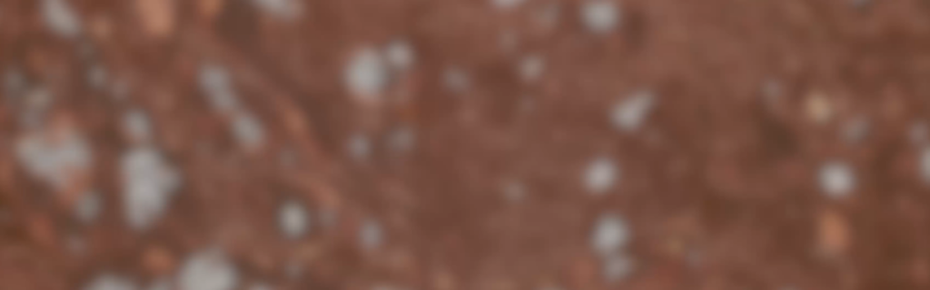 Meet the Team | Copper Aesthetics & Plastic Surgery